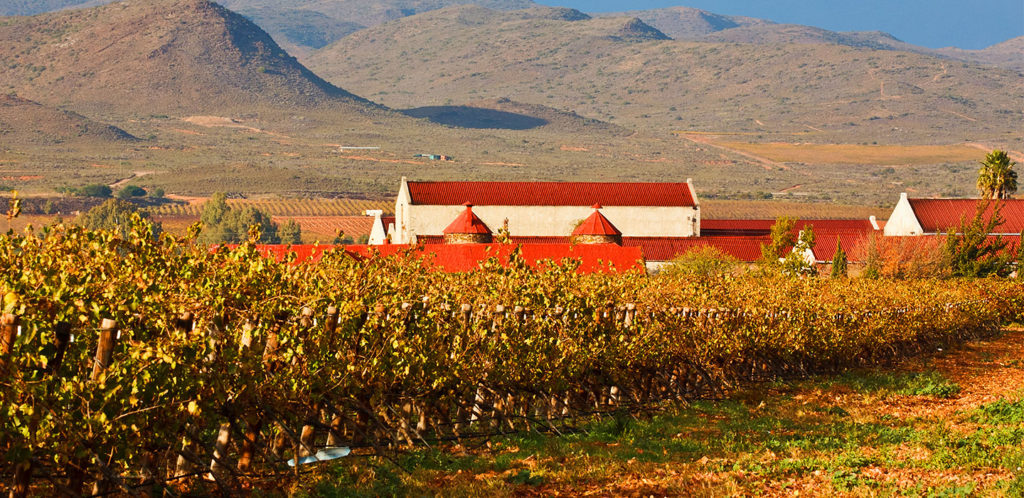 About - Springfield Estate